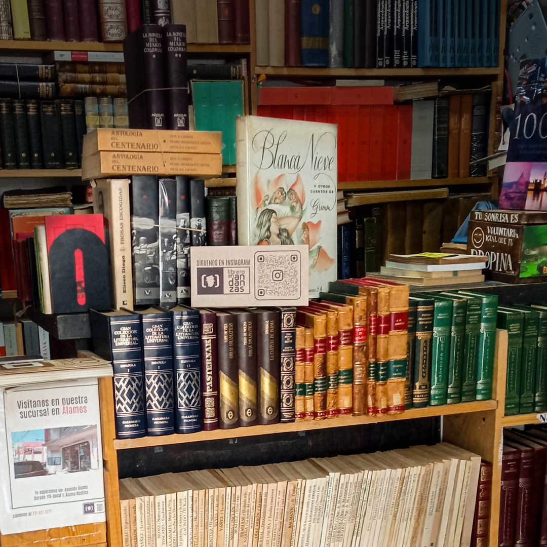 Descubre Miles de Libros Valiosos en Pachuca Centro – Librero en Andanzas